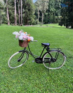 Bikes – Bisa Sewa Bali